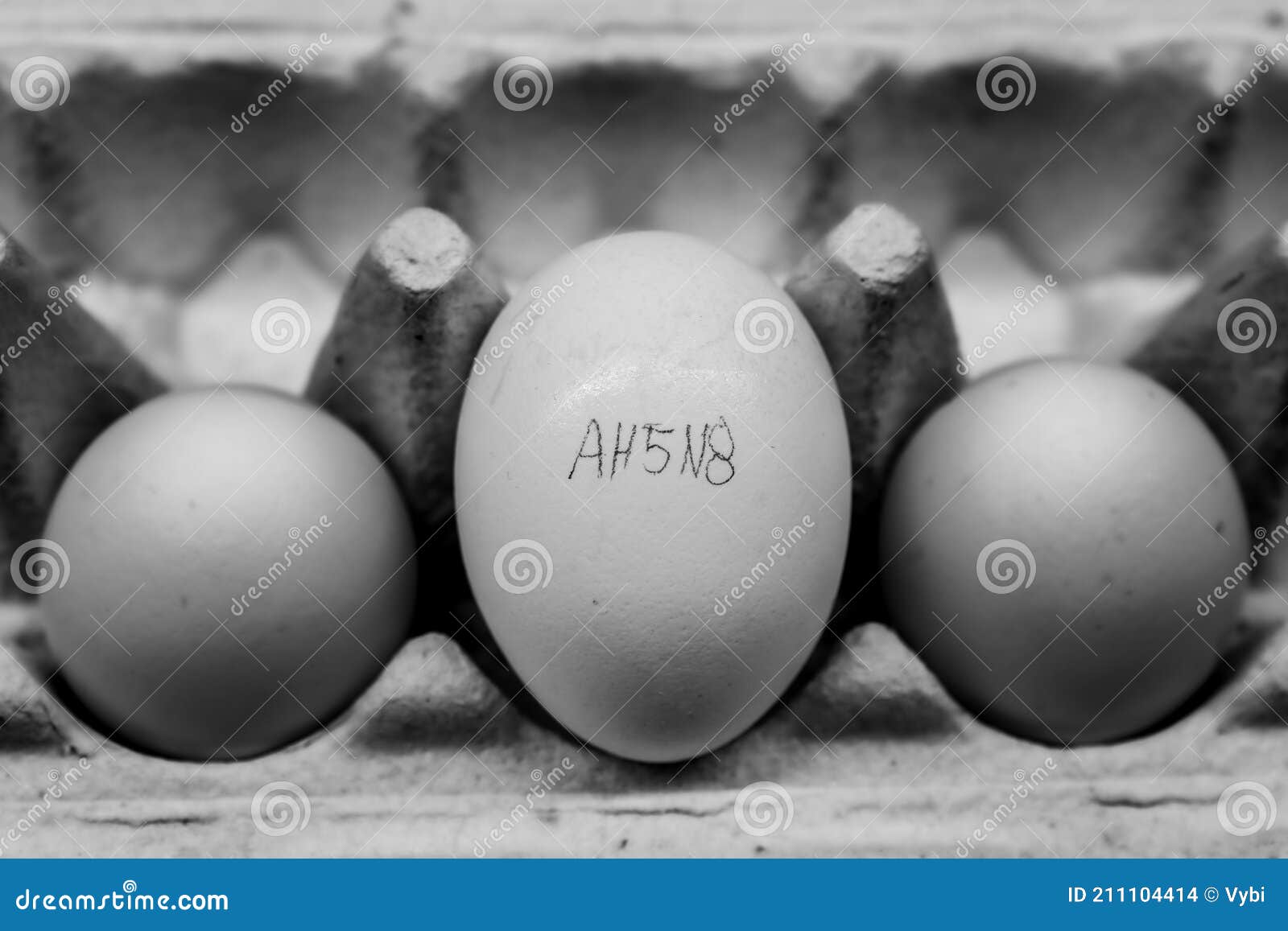 Single egg with tag AH5N8 stock photo. Image of human - 211104414