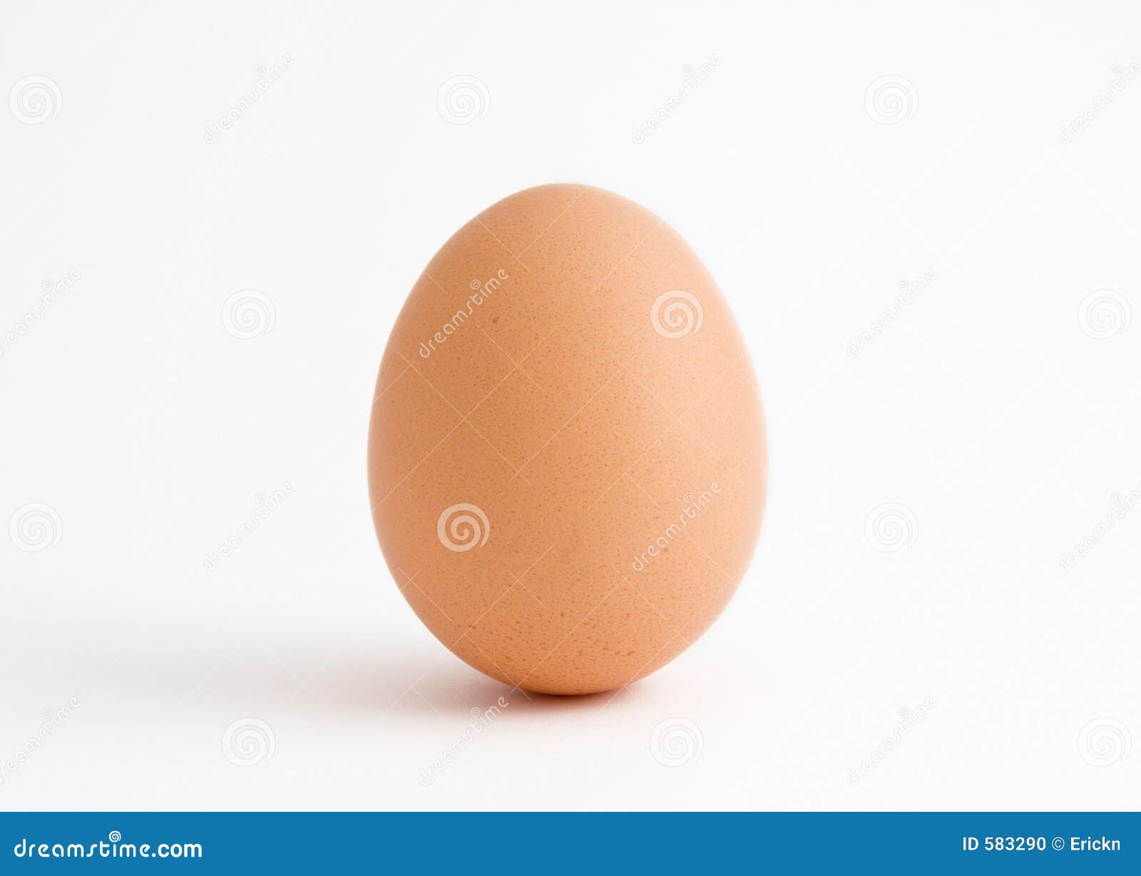 1 Egg