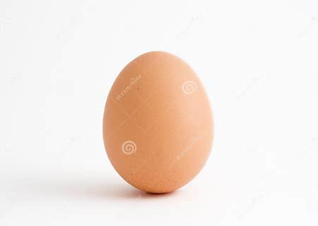 Single egg on white stock photo. Image of shell, protein - 583290
