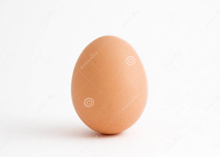 Single egg on white stock photo. Image of shell, protein - 583290