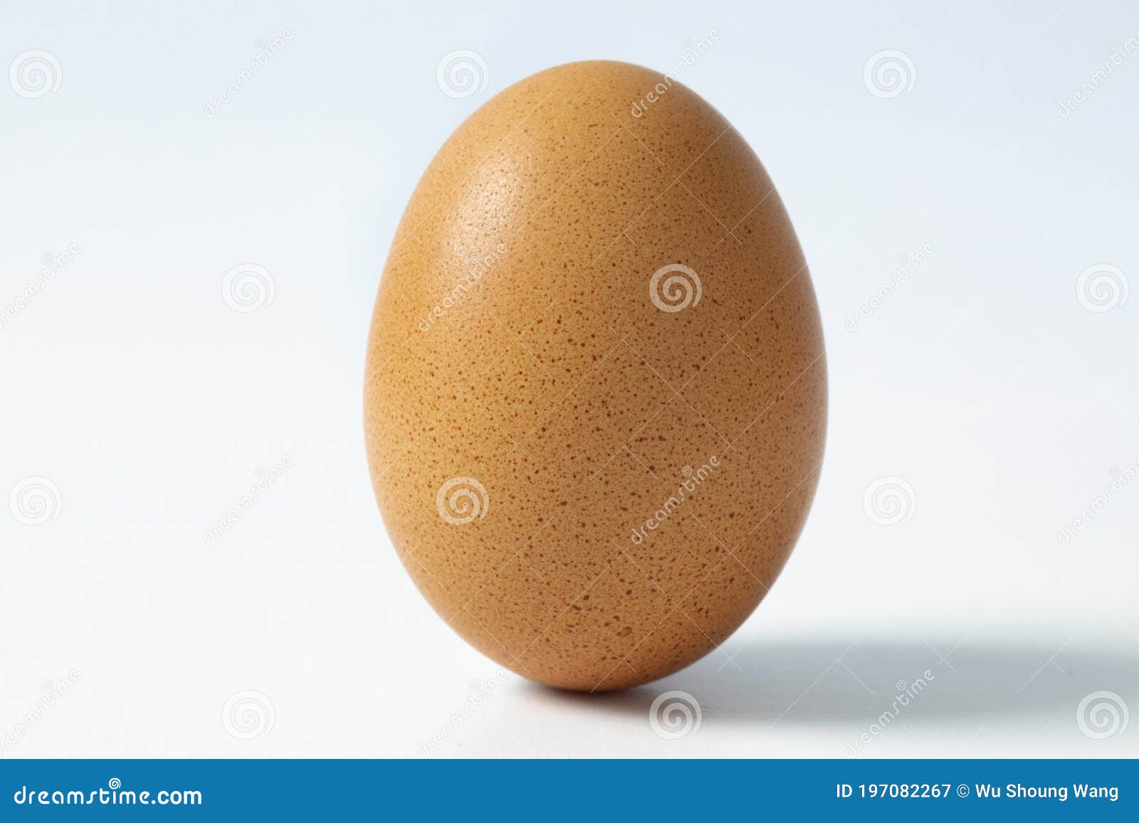 Alone, One, Egg, White Background Stock Image - Image of control, eggs ...