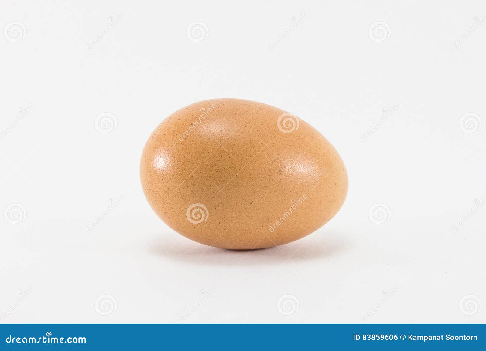 Single Egg on White Background Stock Photo - Image of macro, color ...