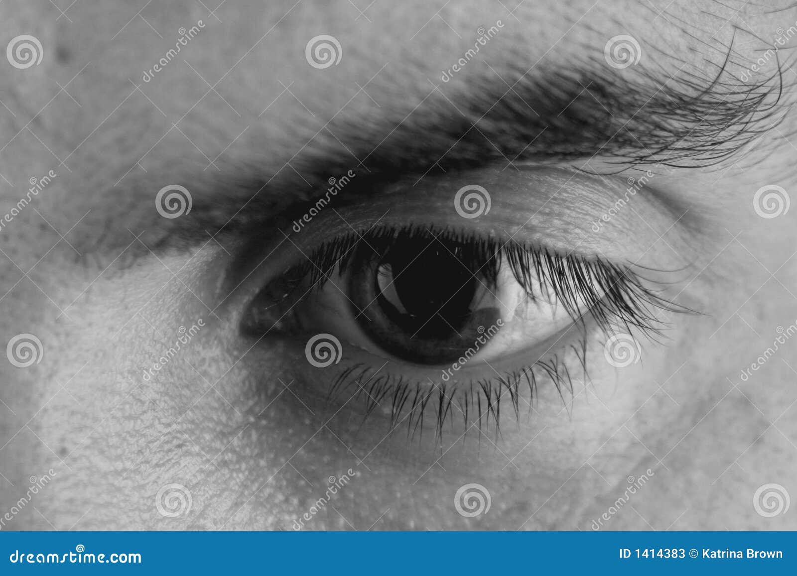 Single Eye stock image. Image of knowledge, stave, lady - 1414383