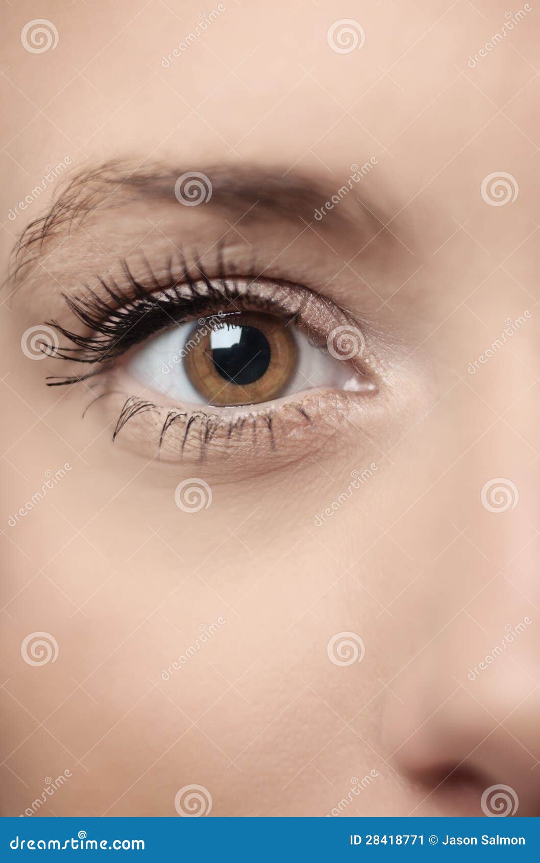 Single eye stock image. Image of glamour, eyelashes, eyeball - 28418771