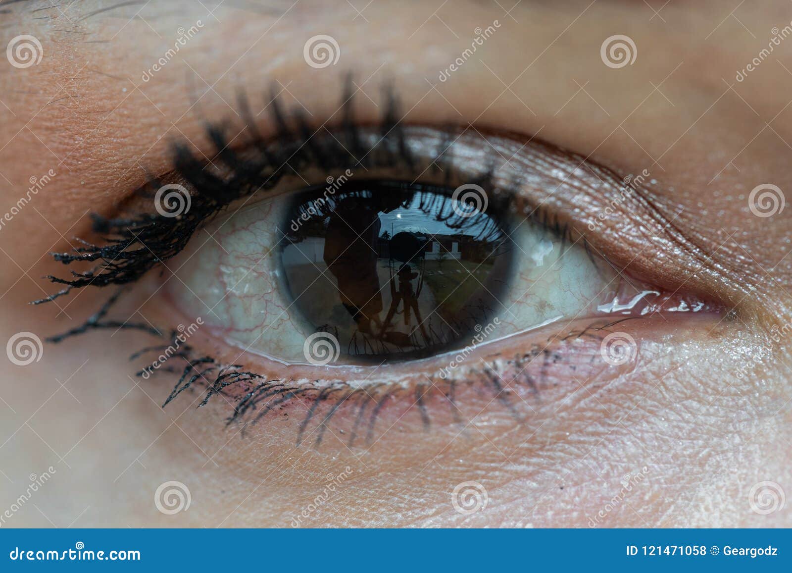 Single eye close up stock photo. Image of makeup, macro - 121471058