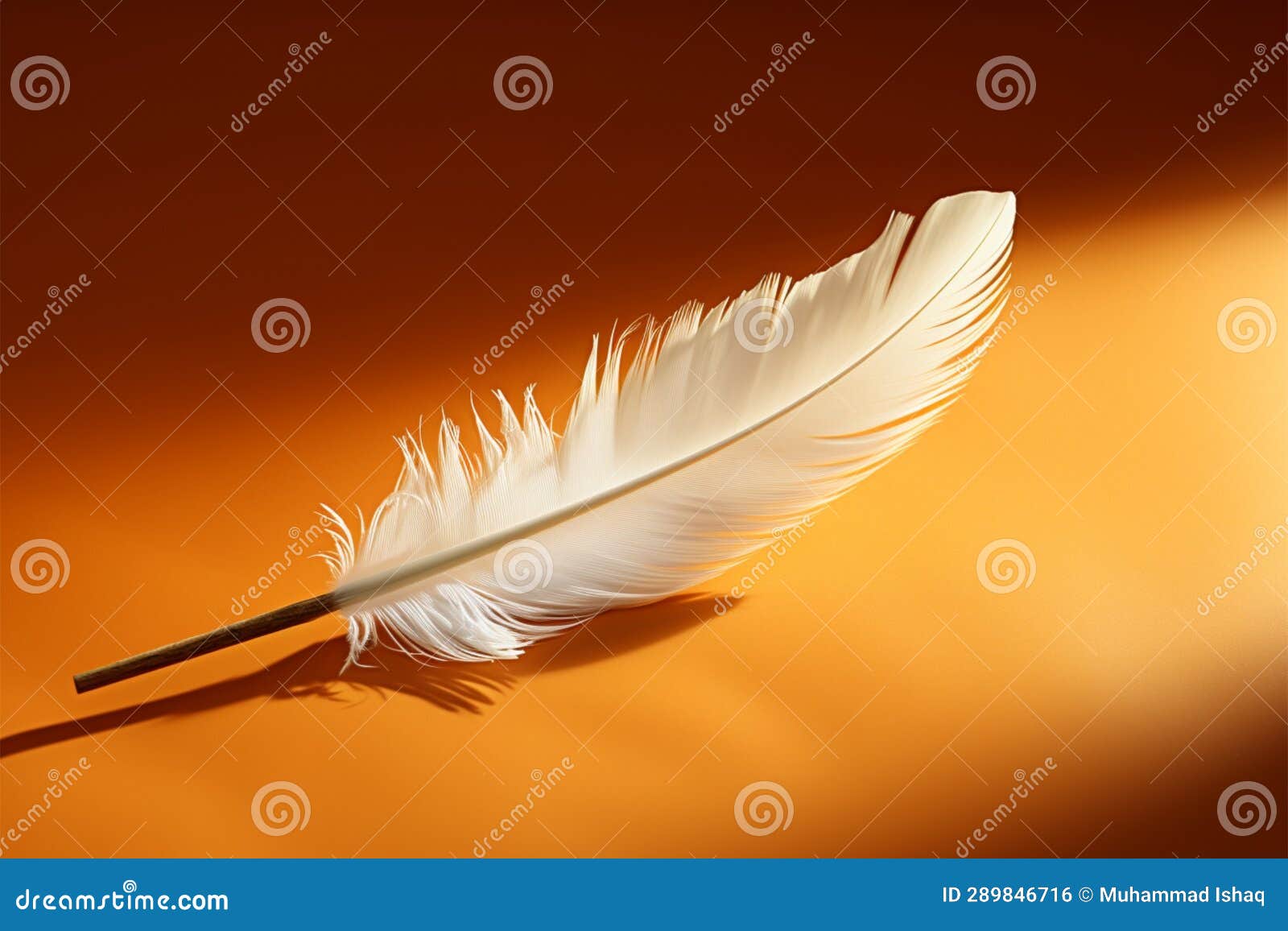 A Single Feather Adds Character To a Plain Sheet of Paper Stock ...