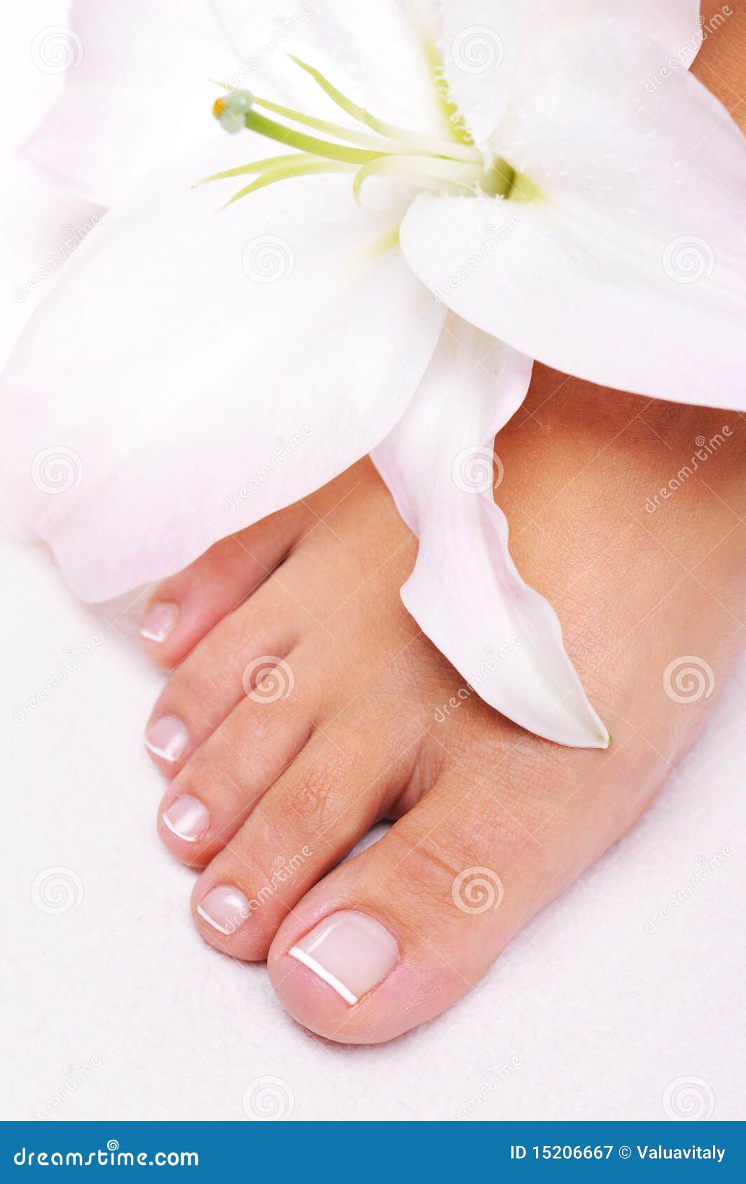 Single Female Feet with Flower Stock Image - Image of indoors, legs ...