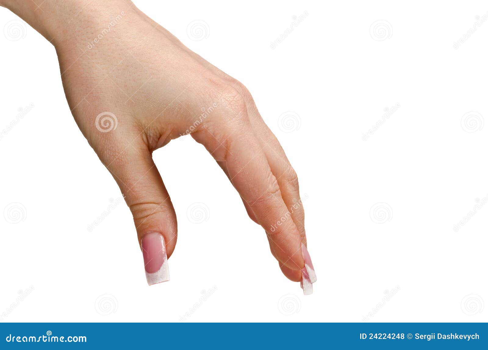 Single female hand stock photo. Image of isolated, concepts - 24224248