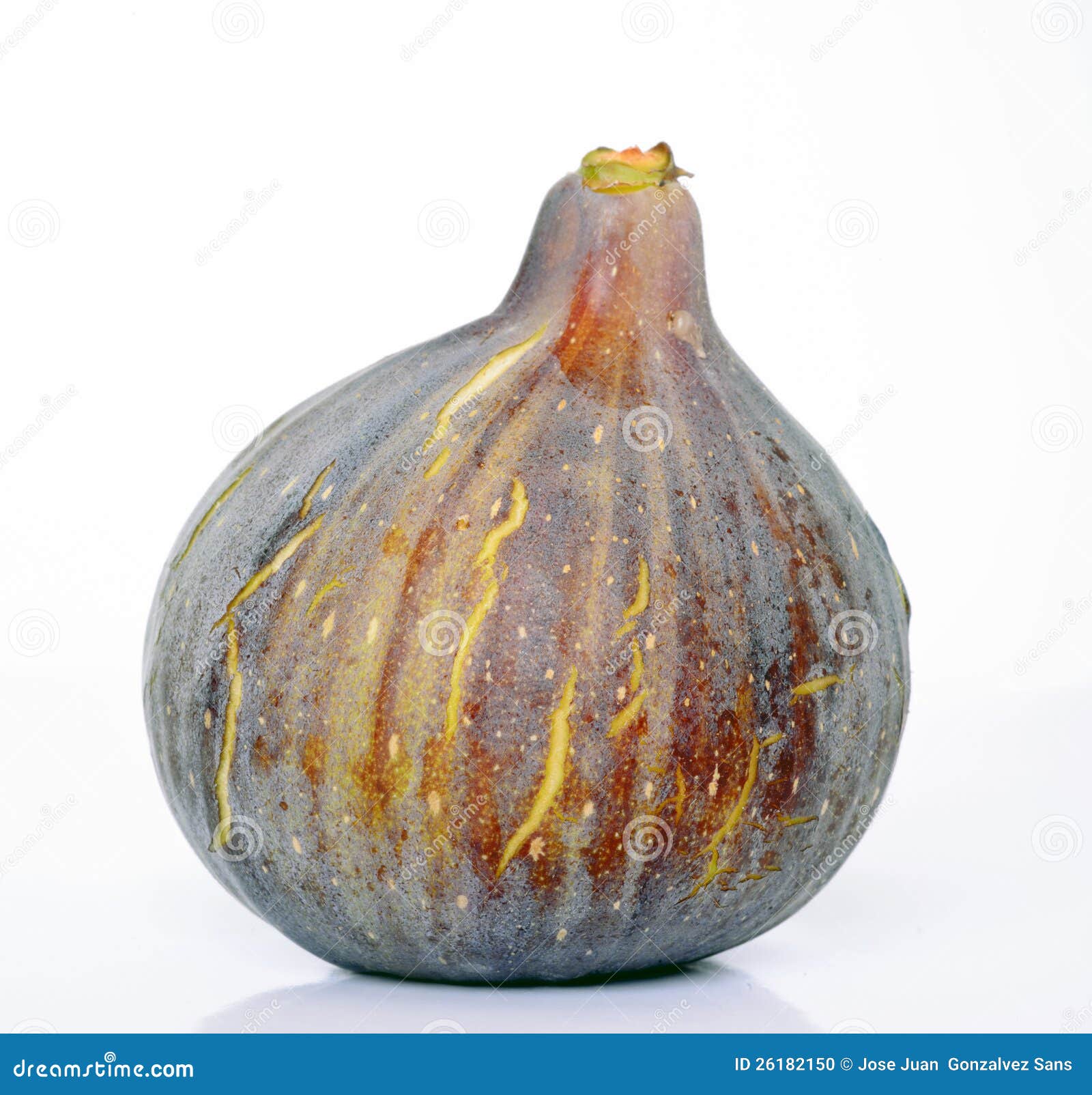 A single fig stock photo. Image of detail, skin, seeds - 26182150