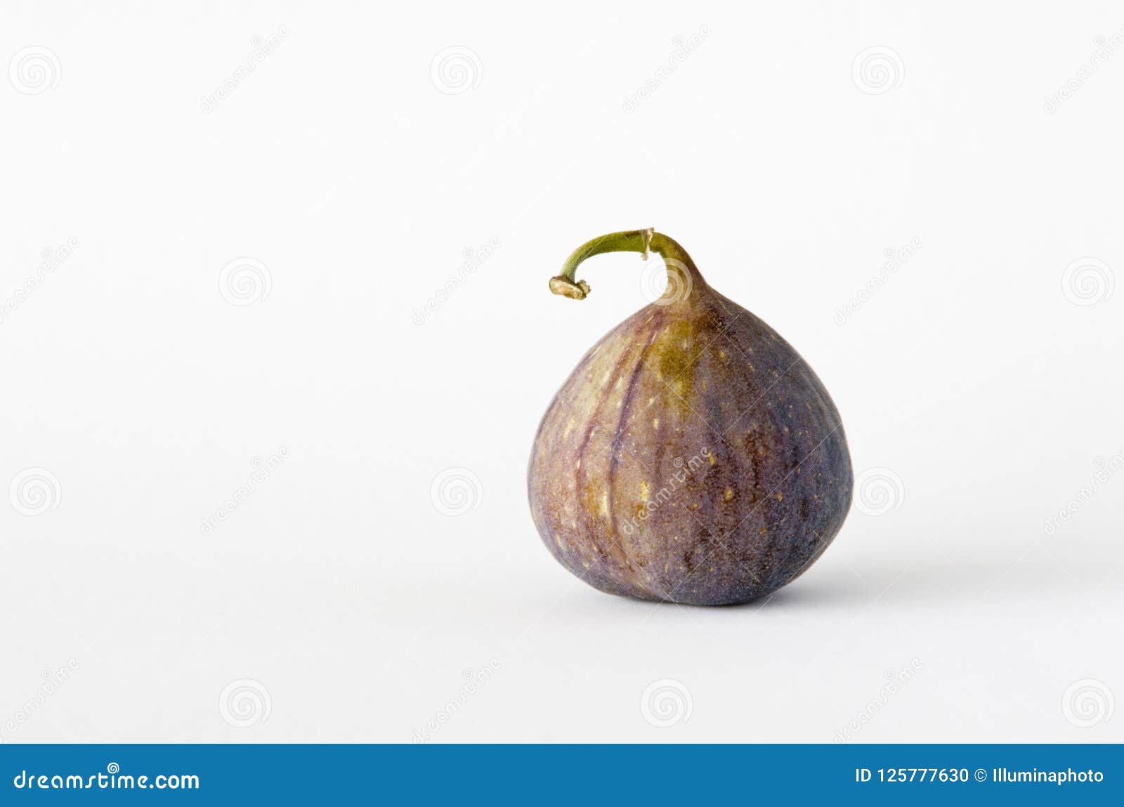 Single Fresh Fig on a White Background. Stock Photo - Image of ...