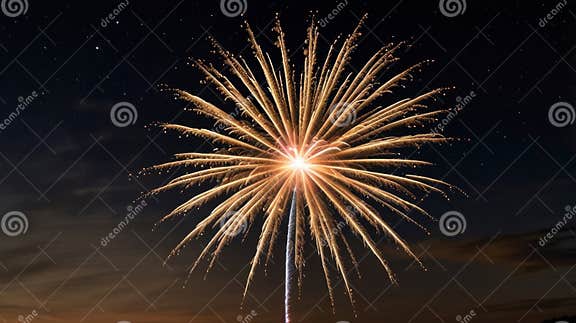 Single Firework Exploding in the Night Sky Creating a Beautiful Golden ...