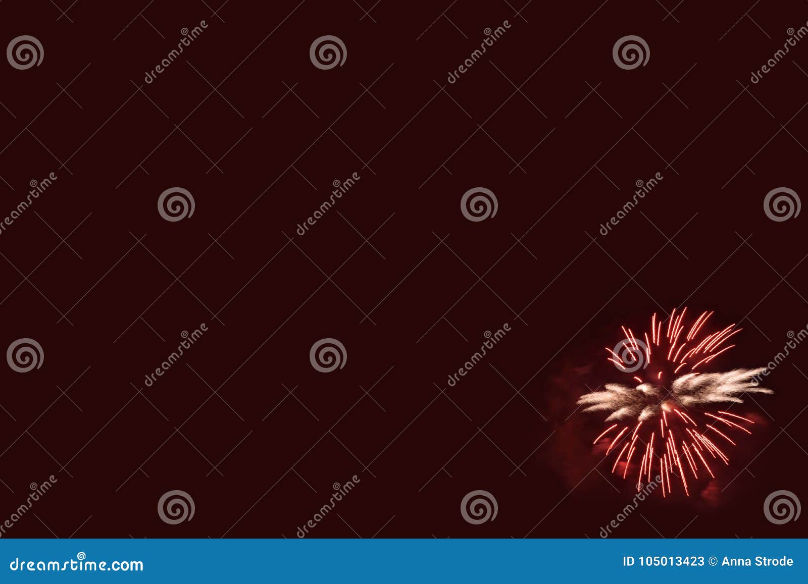 Single Firework Flower on a Dark Background. Stock Image - Image of ...