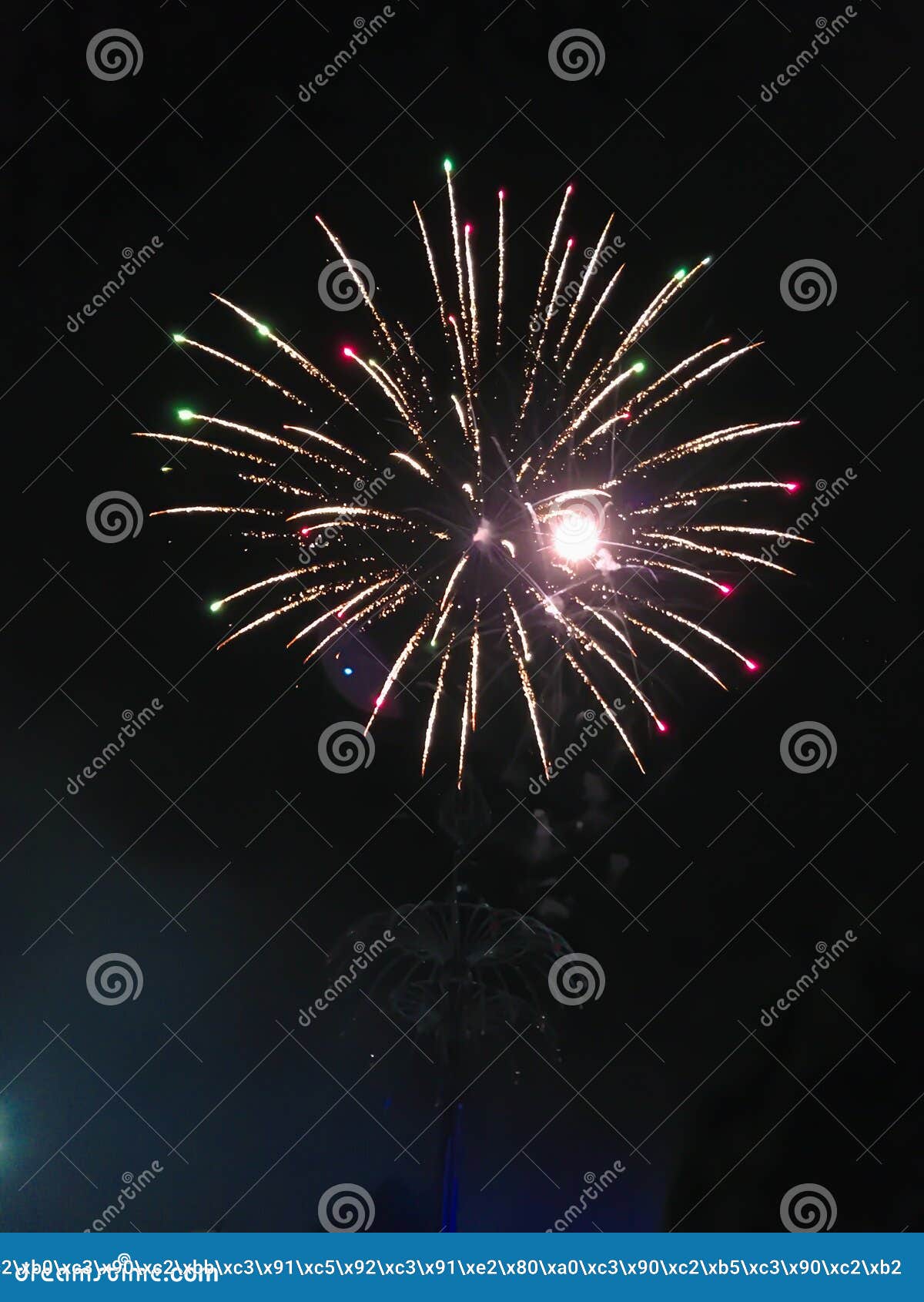 Single Fireworks Light Up the Sky with Colorful Splashes Stock Image ...