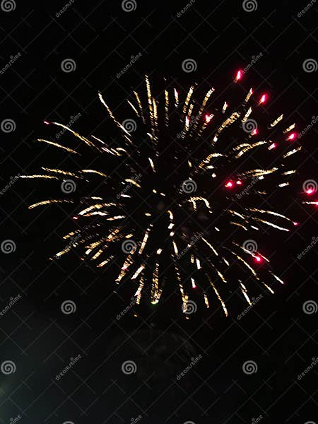 Single Fireworks Light Up the Sky with Colorful Splashes Stock Image ...