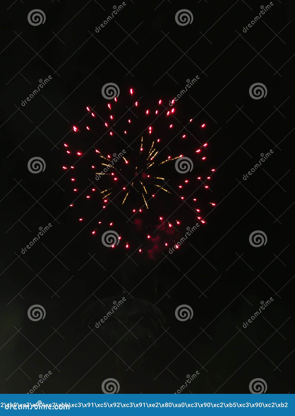 Single Fireworks Light Up the Sky with Colorful Splashes Stock Photo ...