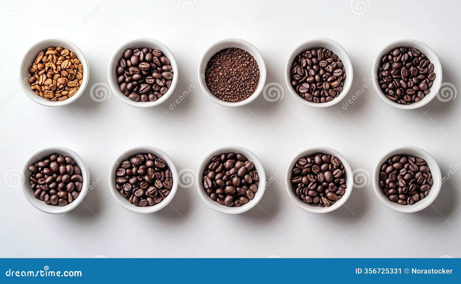 A Single Flat Lay of Gourmet Coffee Bean Samplers Styled for Luxury ...