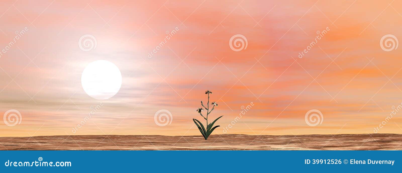 Single flower - 3D render stock illustration. Illustration of graphic ...
