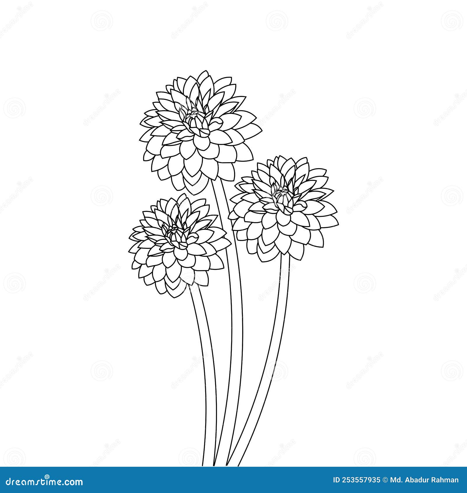 Single Flower Line Drawing Coloring Page for Kids Activities of ...