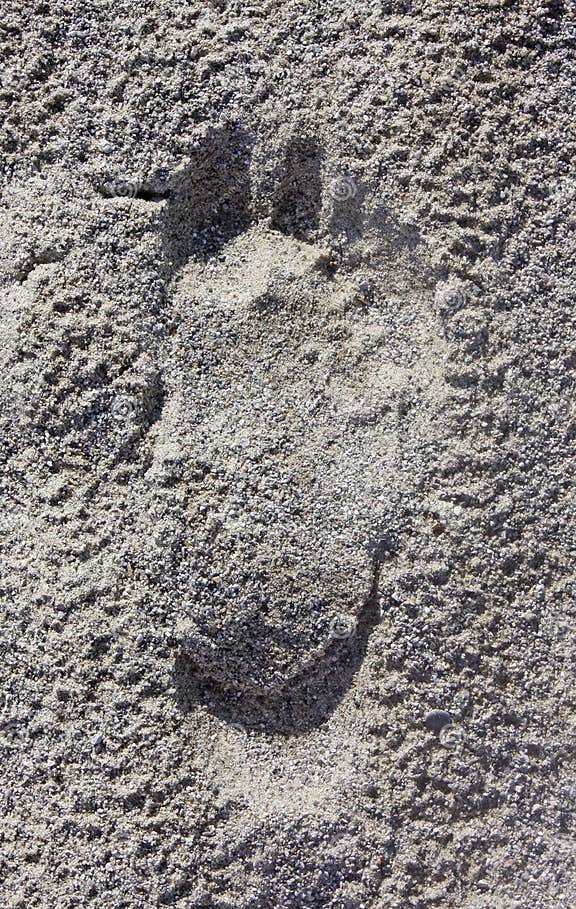 A single foot print stock image. Image of barefoot, journey - 15454023