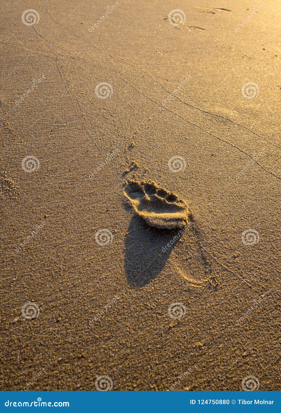 Single Foot Print in Golden Sand Stock Photo - Image of yellow, single ...