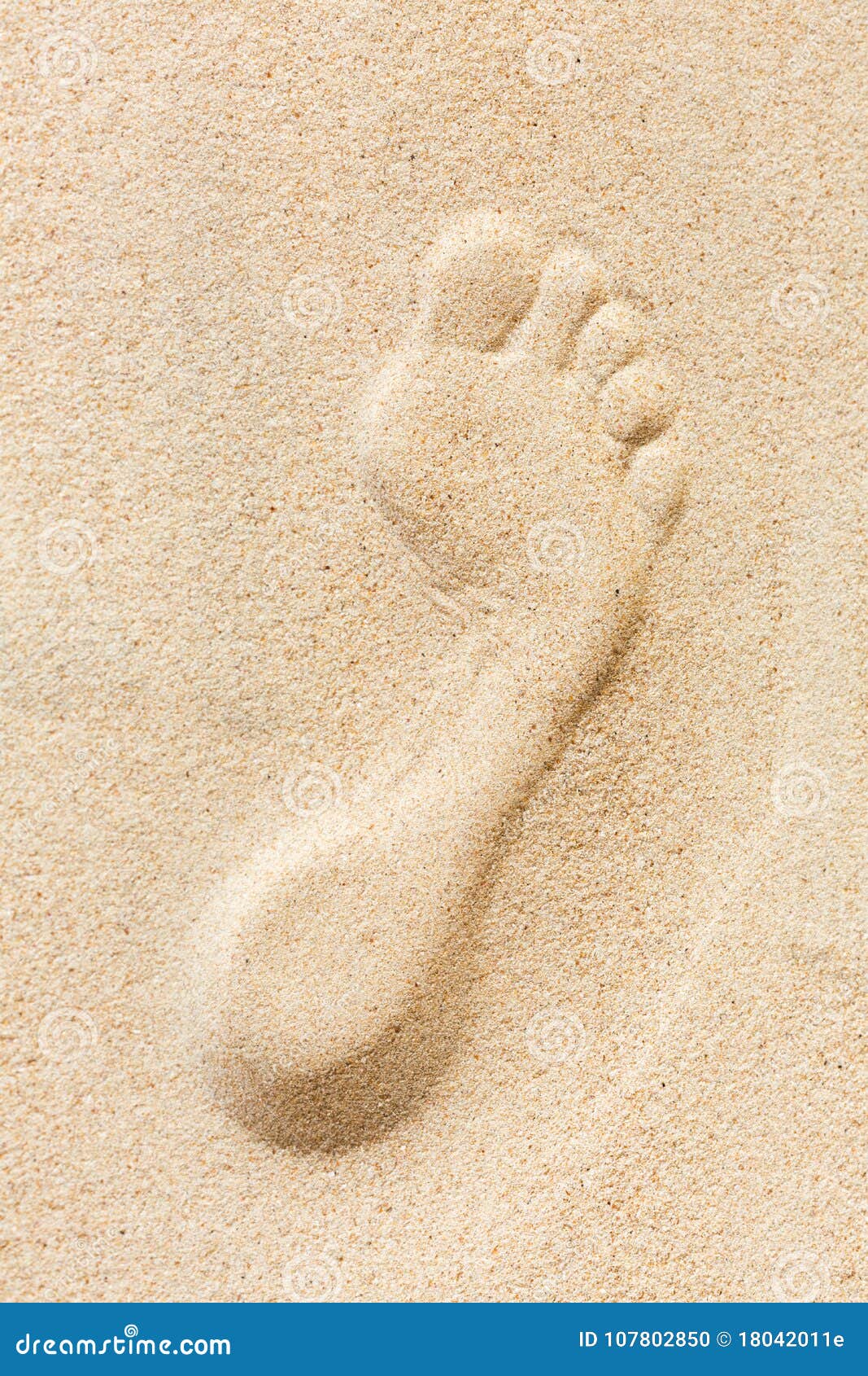 A Single Foot Print Imprinted in the Sand on the Beach Stock Photo ...