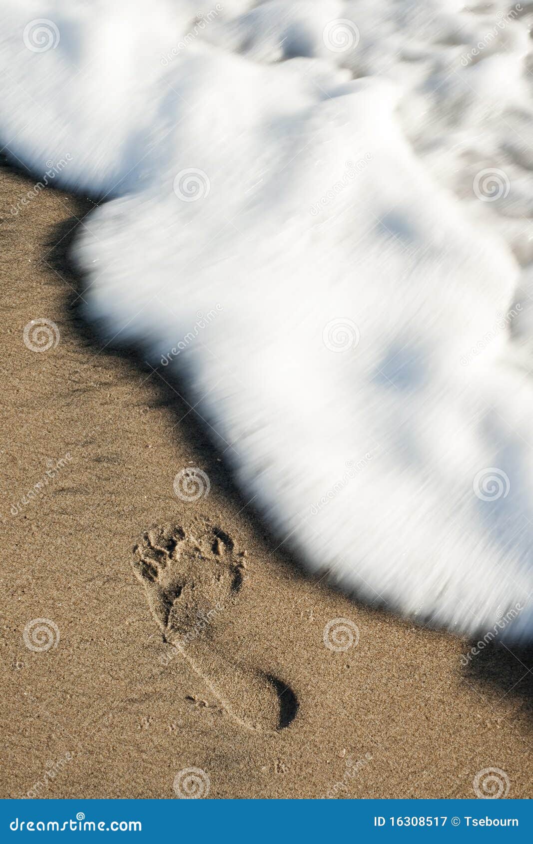 Single Foot Print in the Sand Stock Image - Image of footstep, seaside ...