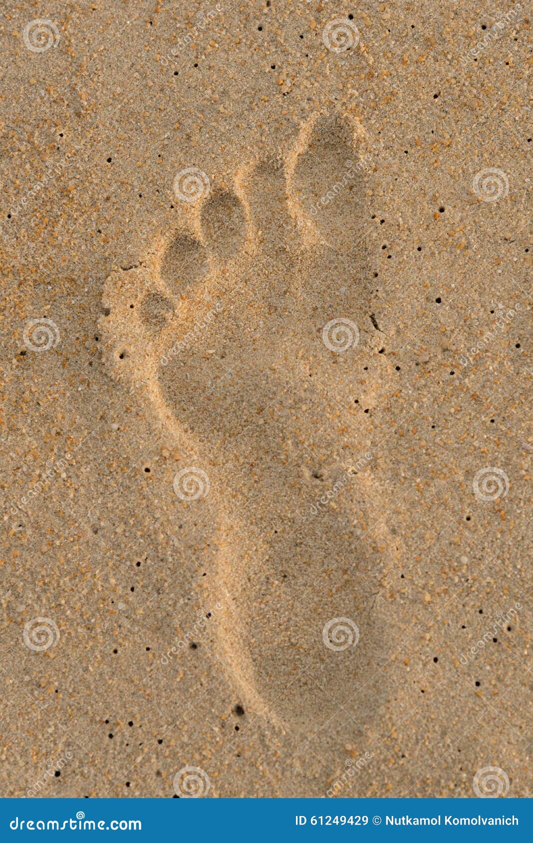 Single foot print on sand stock image. Image of foot - 61249429