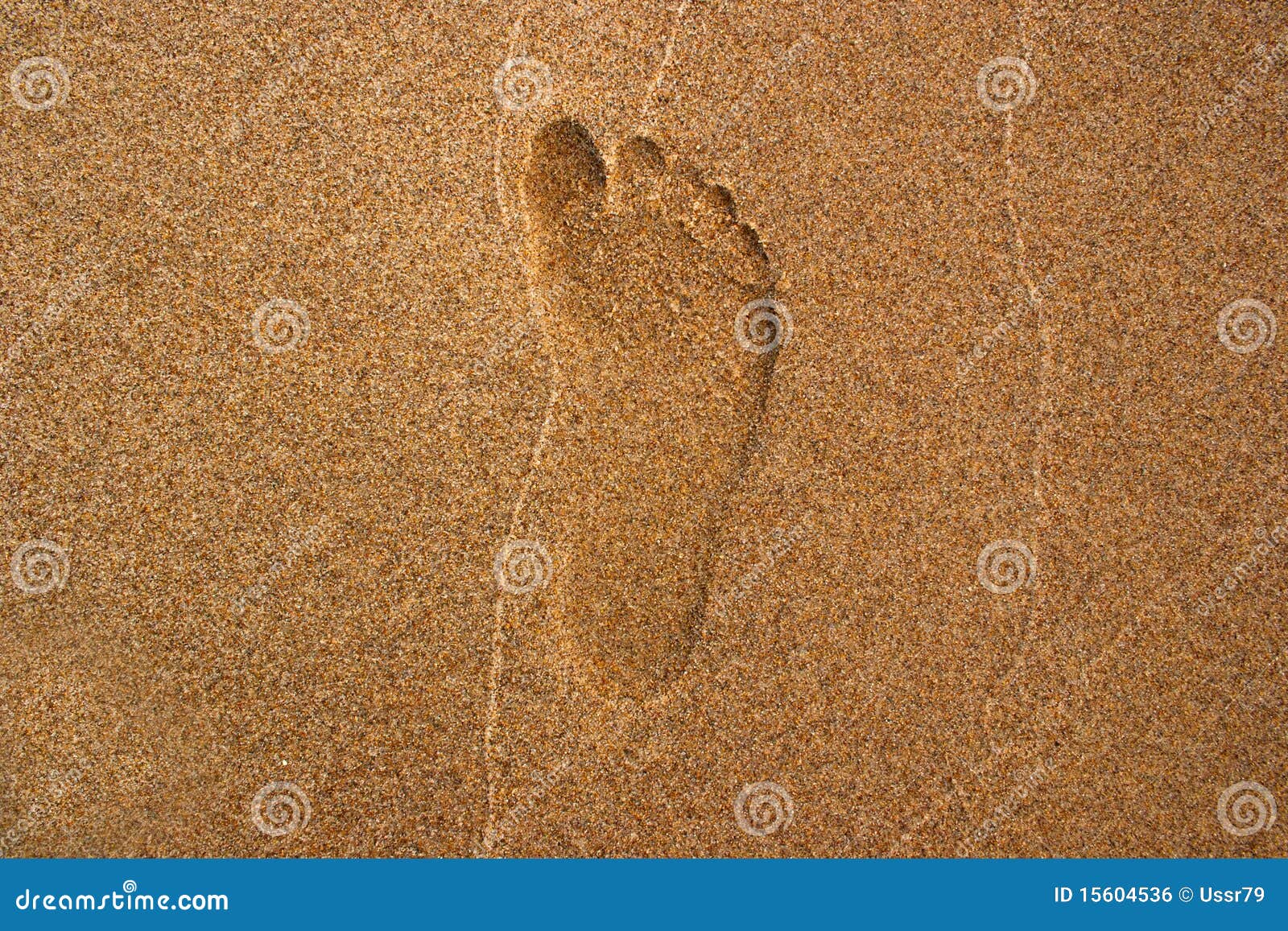 Single footprint stock photo. Image of seaside, footprint - 15604536