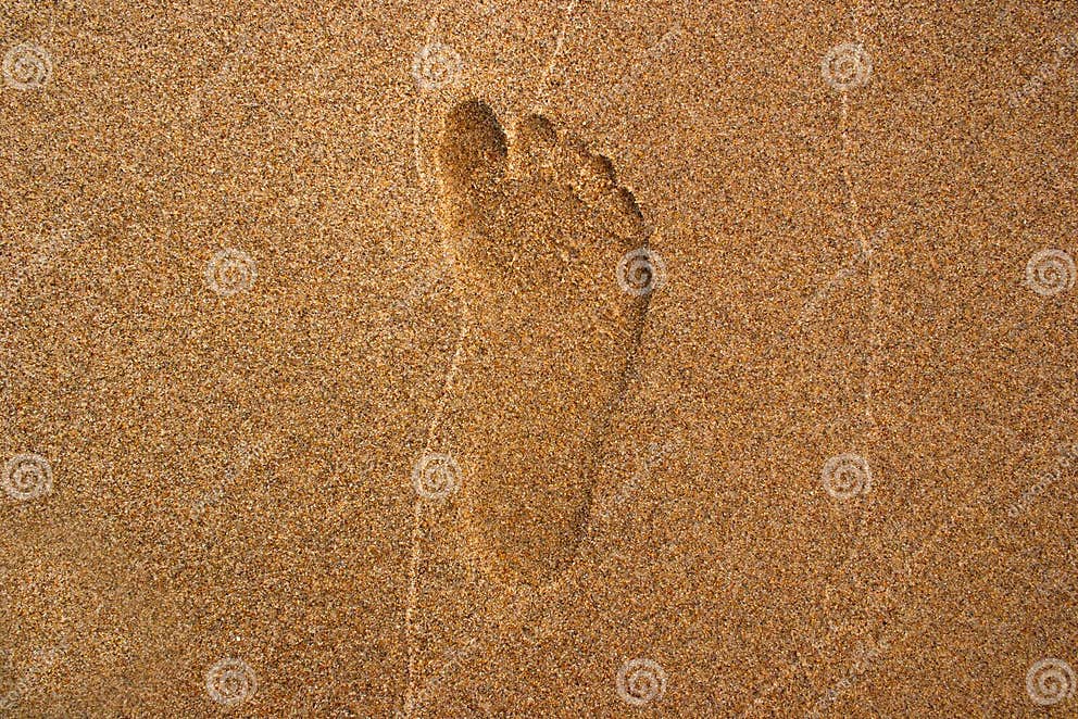 Single footprint stock photo. Image of seaside, footprint - 15604536