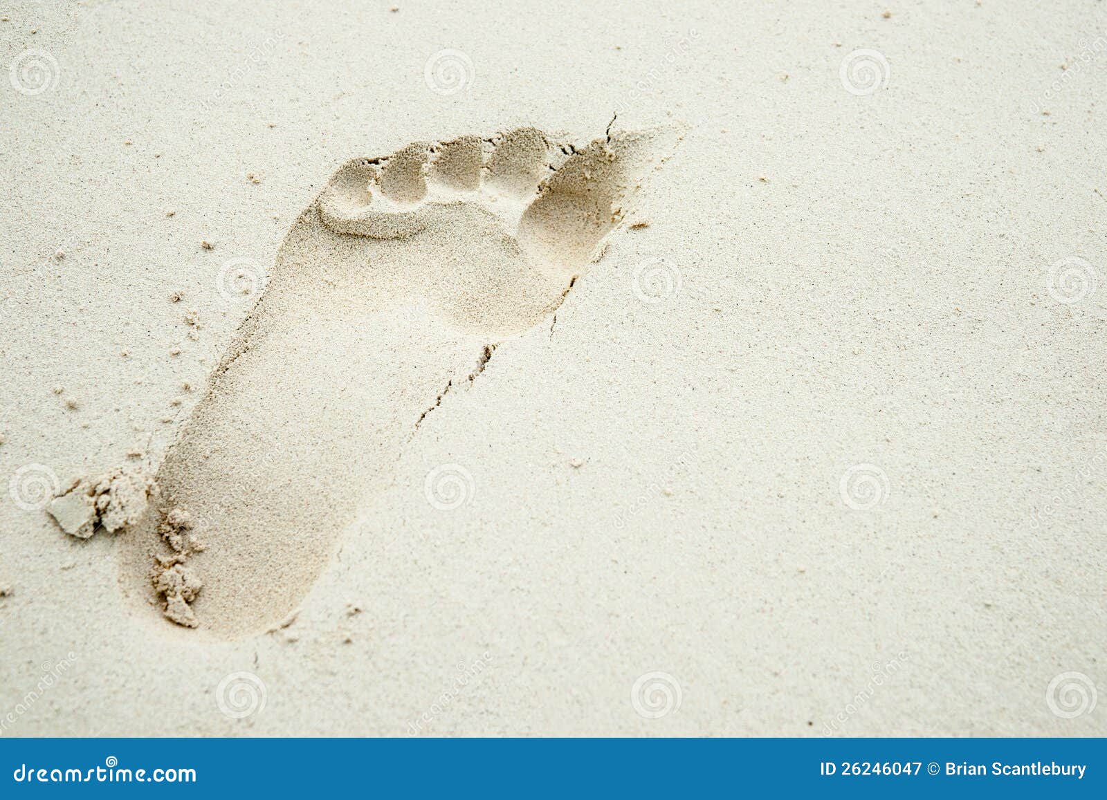 Single footprint. stock image. Image of foot, single - 26246047