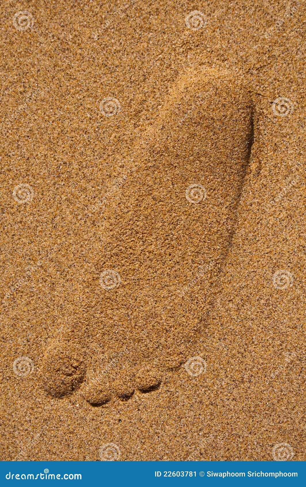 Single Footprint on the Beach Stock Image - Image of retreat, foot ...