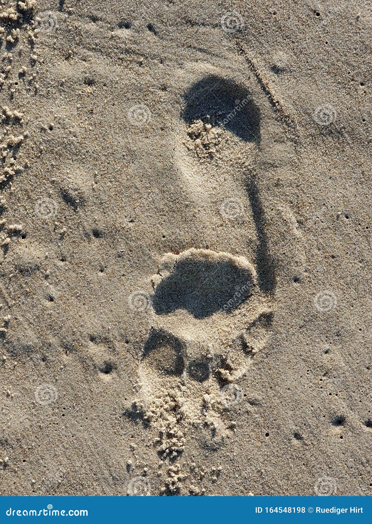 Single Footprint on the Beach Stock Photo - Image of shore, people ...