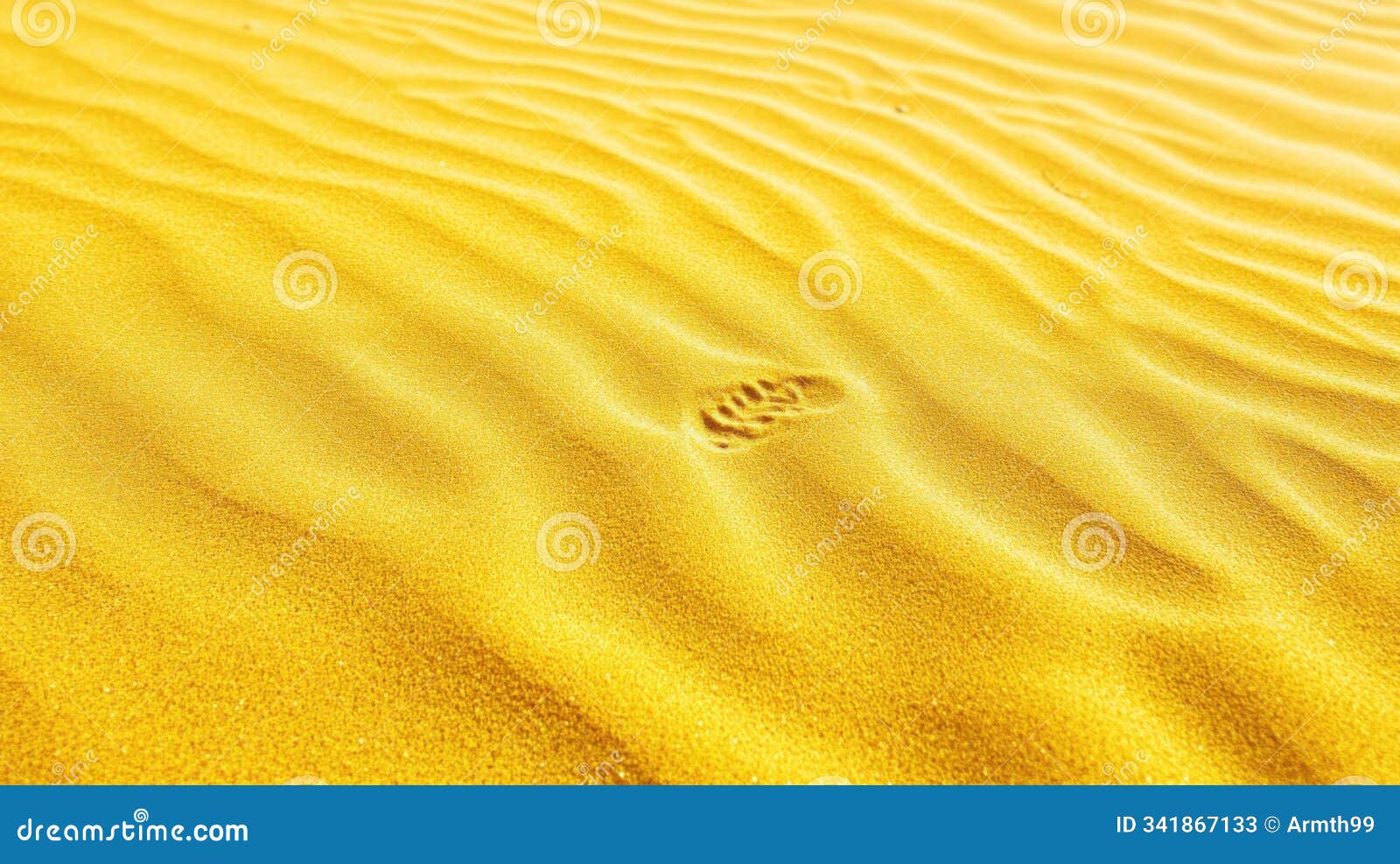 Single Footprint in Golden Desert Sand with Ripple Patterns Stock ...
