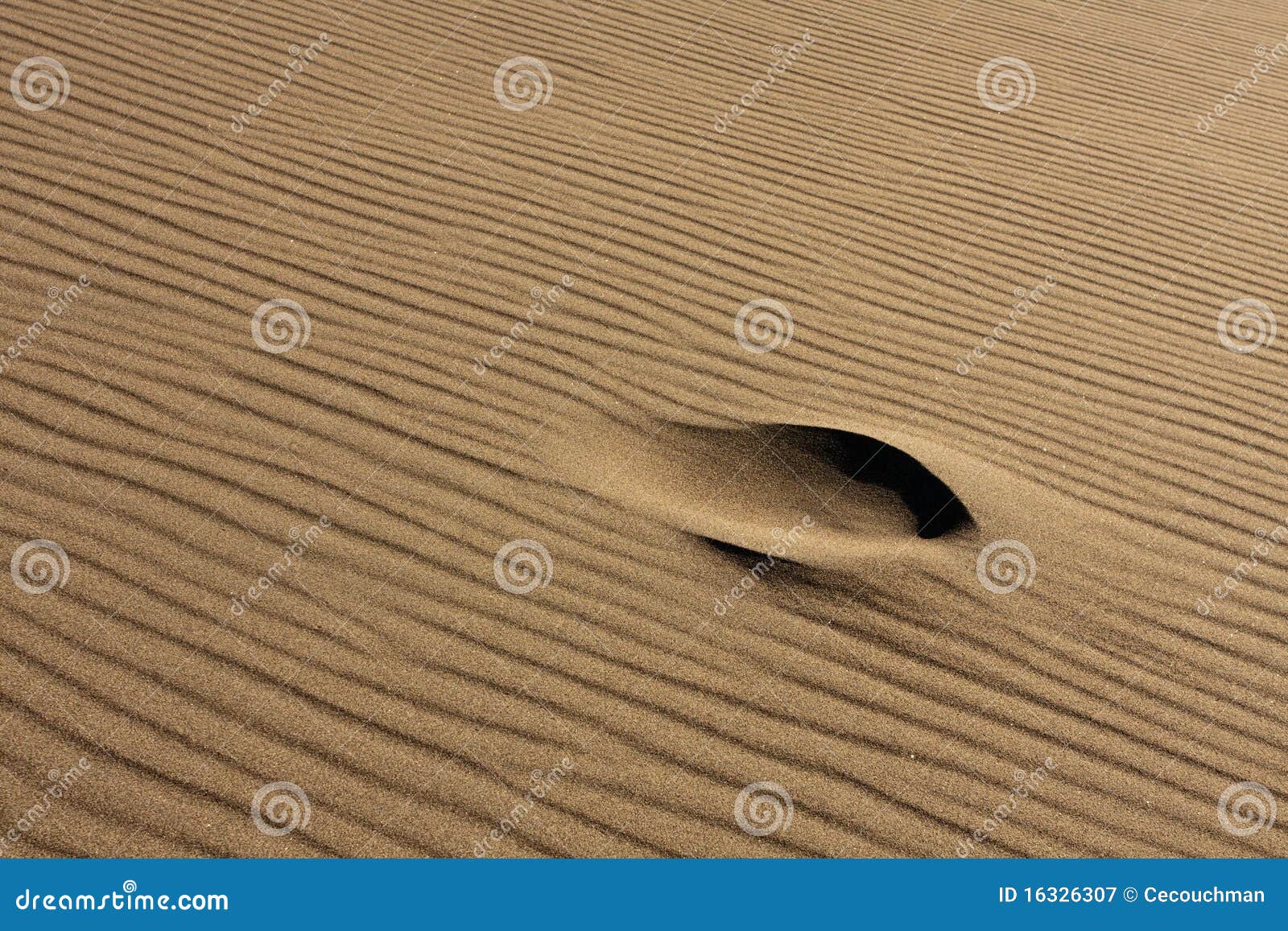 Single Footprint in Rippled Sand Stock Image - Image of colorado, wind ...