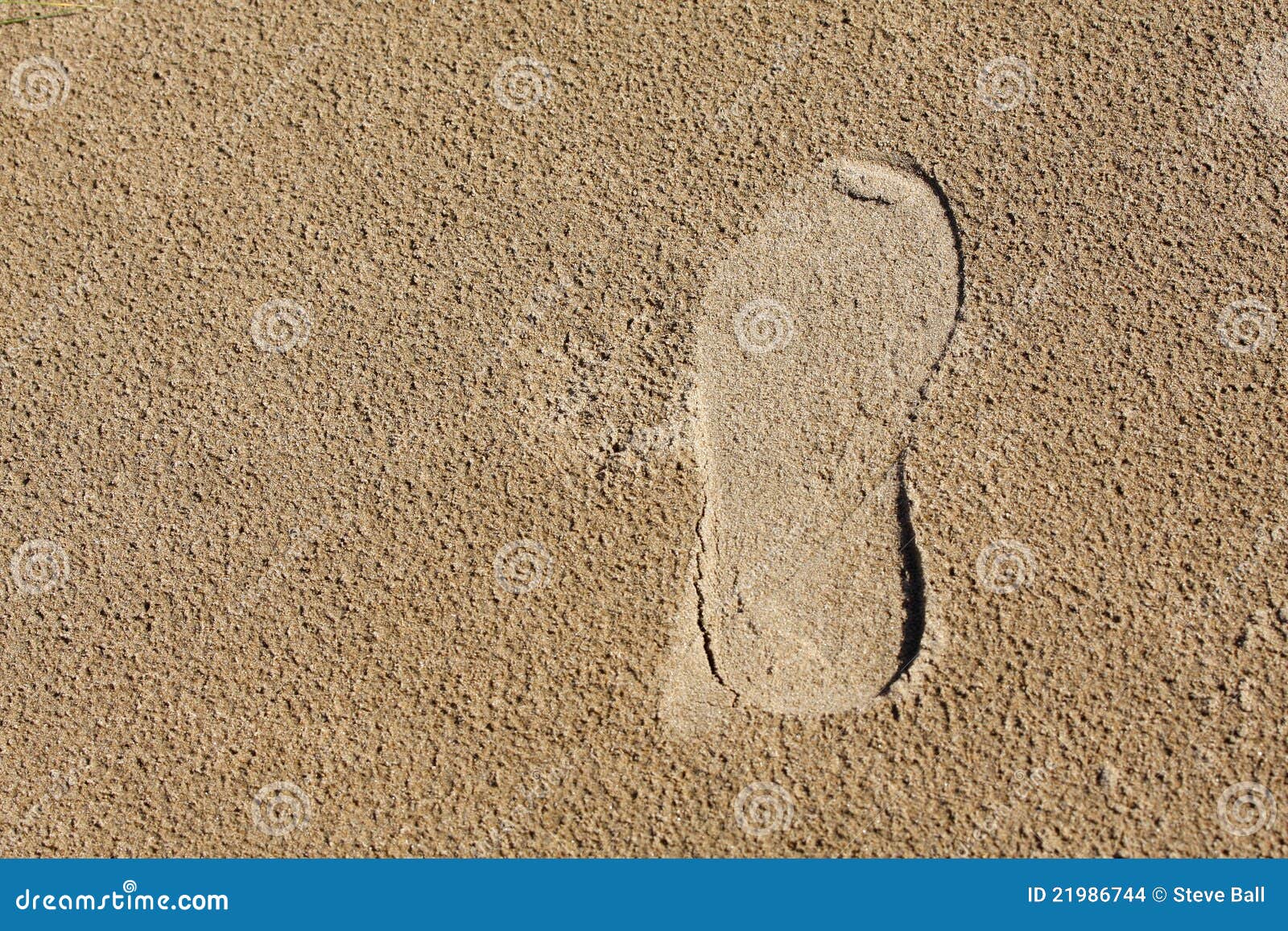 Single footprint in sand stock photo. Image of landscape - 21986744