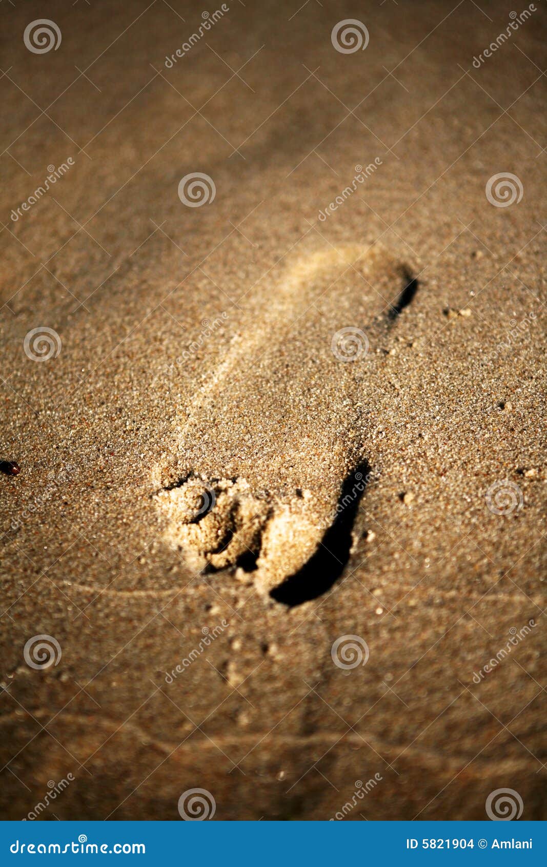 Single Footprint In The Sand Picture. Image: 5821904