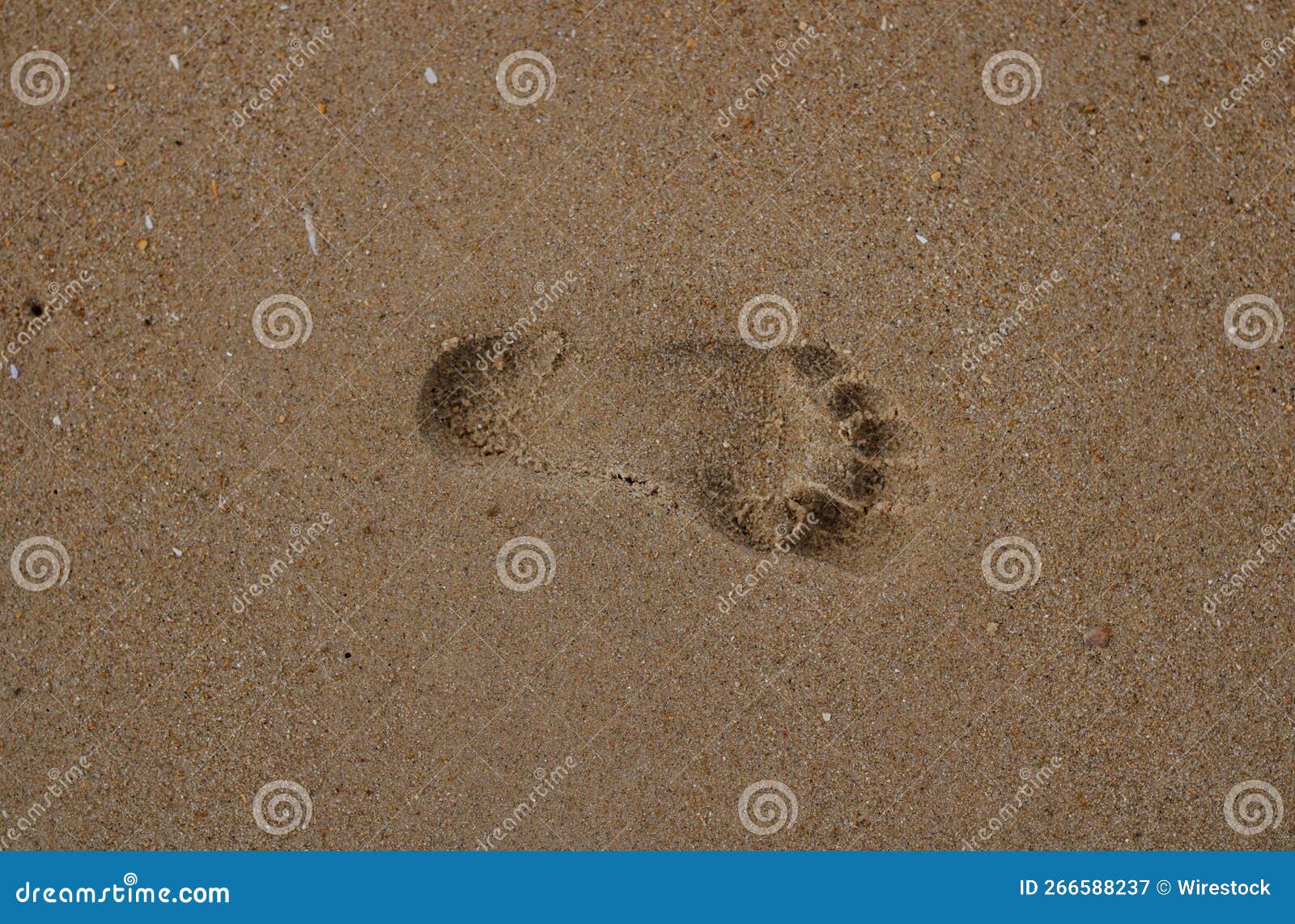 Single Footprint on the Sand of a Beach Stock Image - Image of coast ...