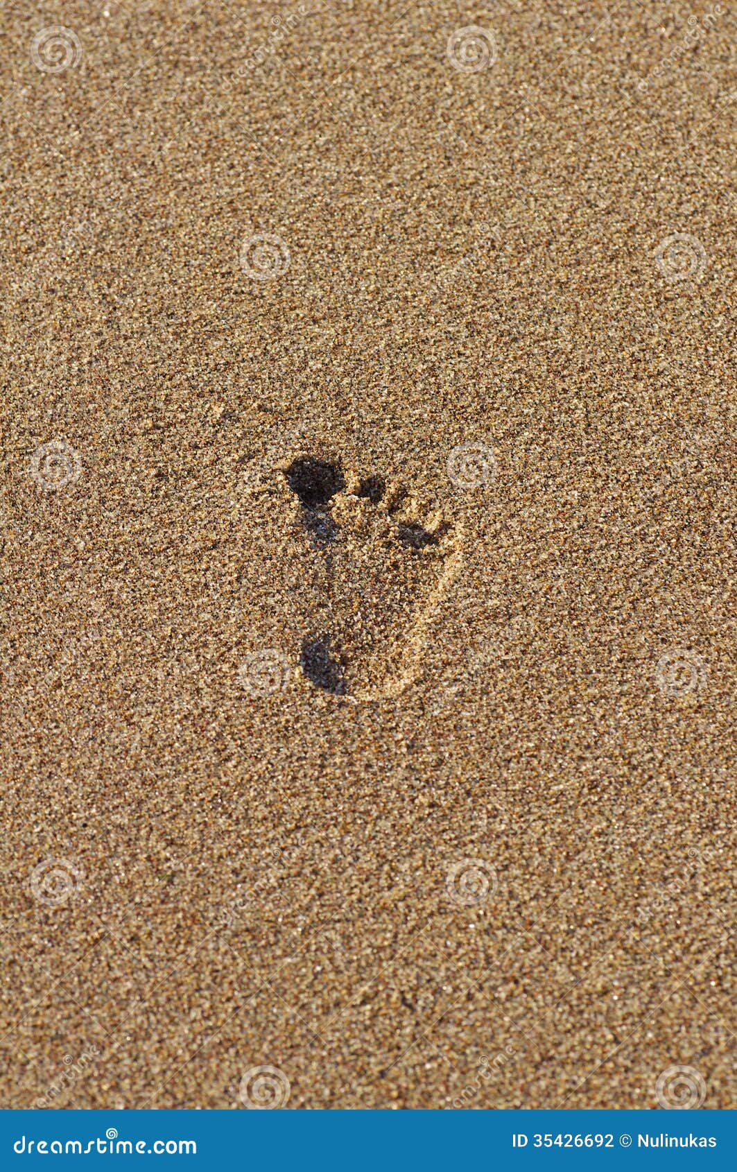 Single Footprint in the Sand Stock Photo - Image of barefoot, nature ...