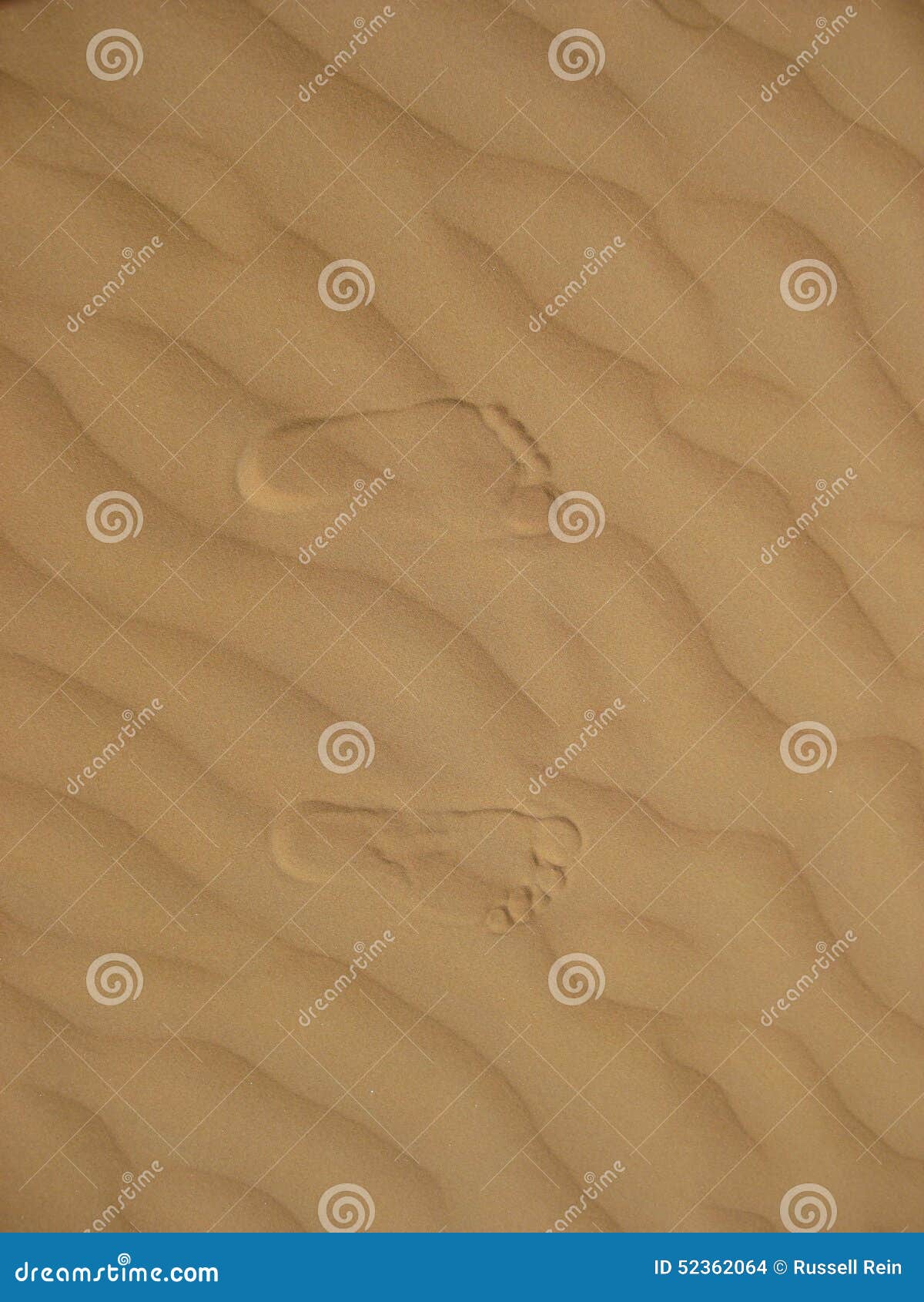 Single Footprints in Desert Sand Stock Photo - Image of desertsand ...