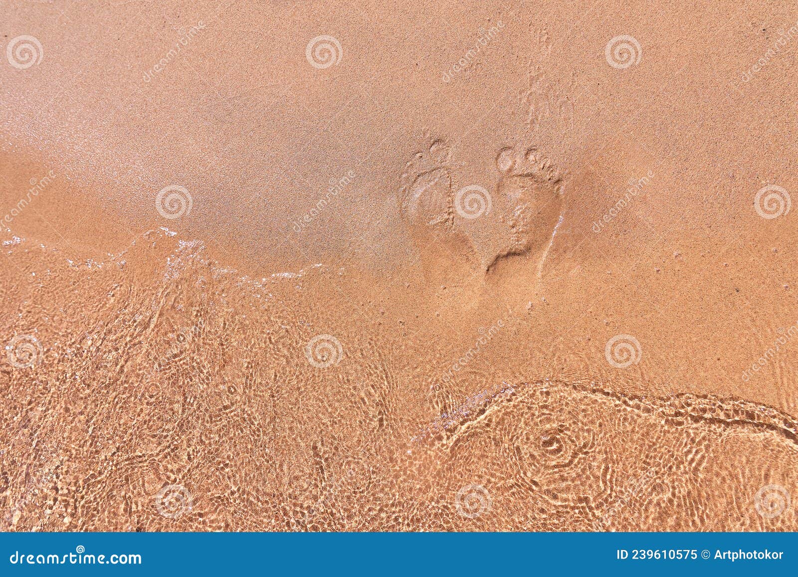 Single Footprints In Desert Sand Royalty-Free Stock Image ...