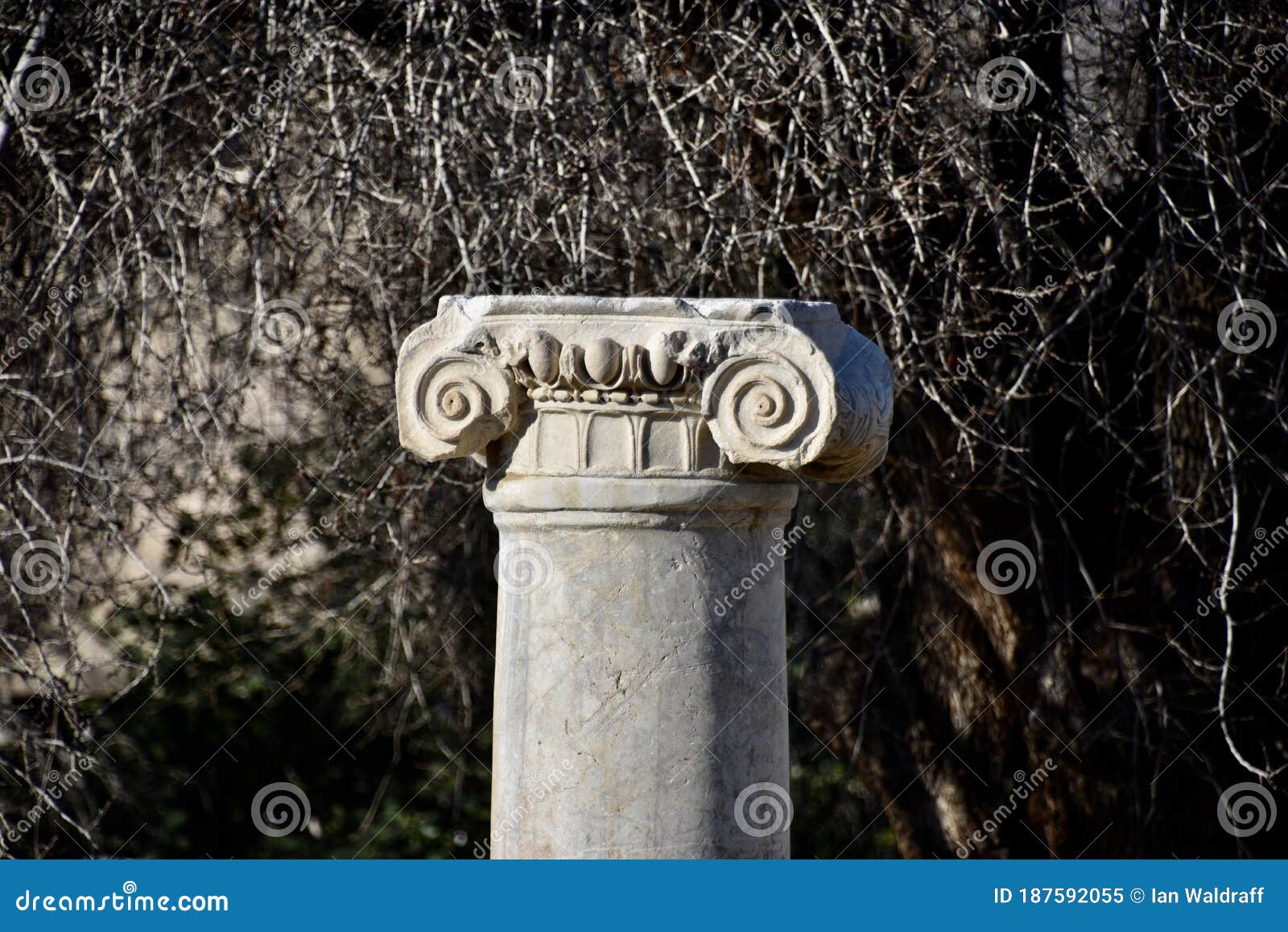 Single Freestanding Ancient Ionic Column, Cyprus Stock Image - Image of ...