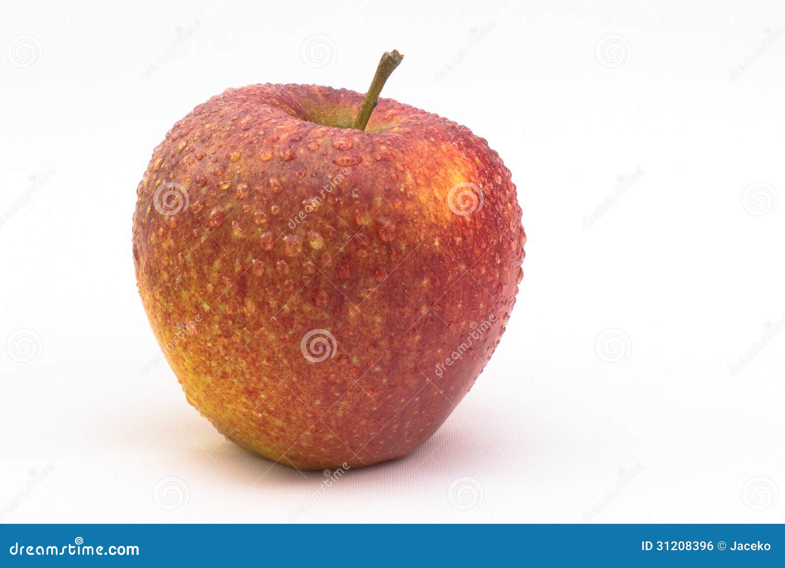 Single fresh apple stock photo. Image of fruit, health - 31208396