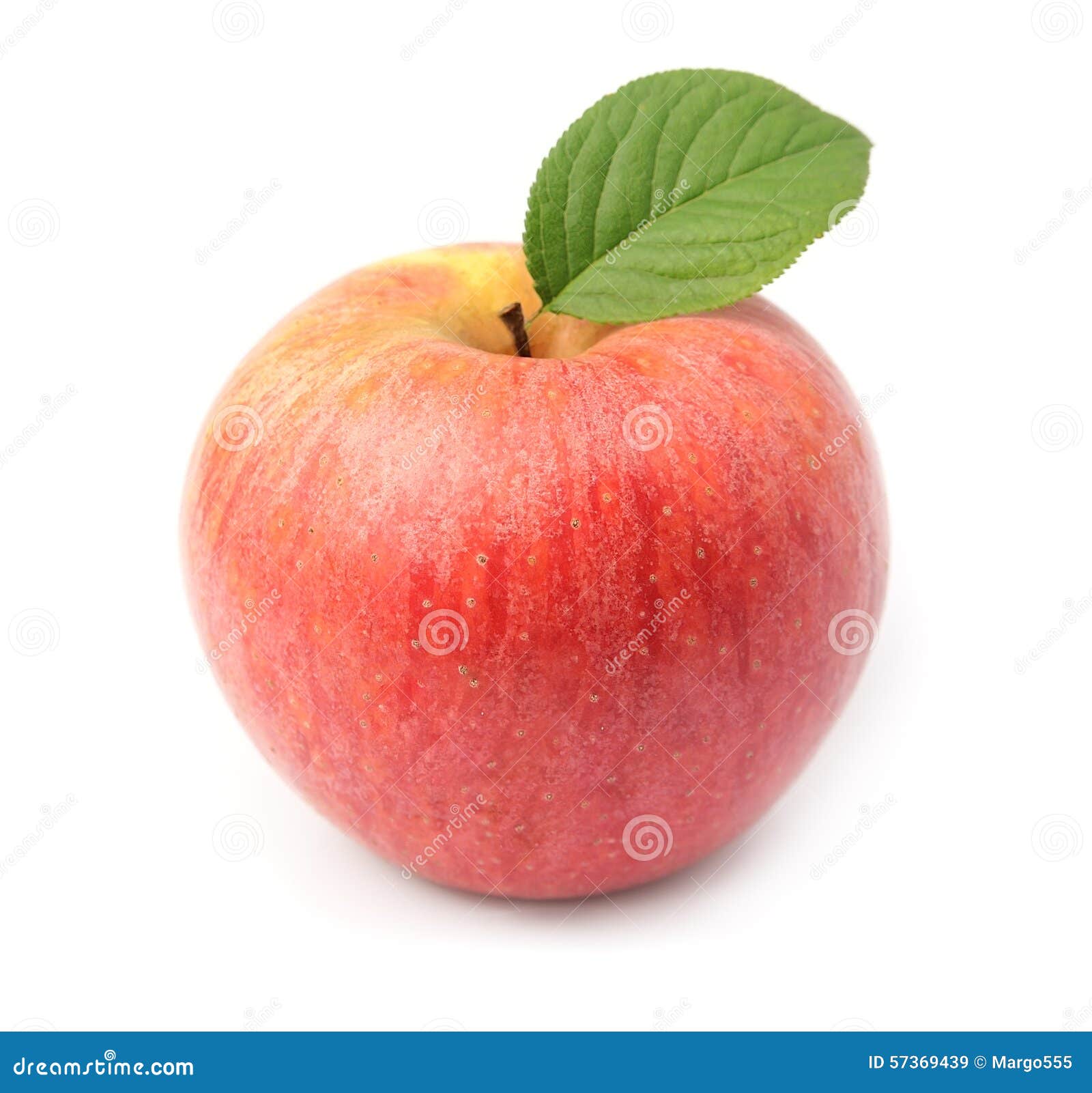 Single fresh apple stock image. Image of single, food - 57369439