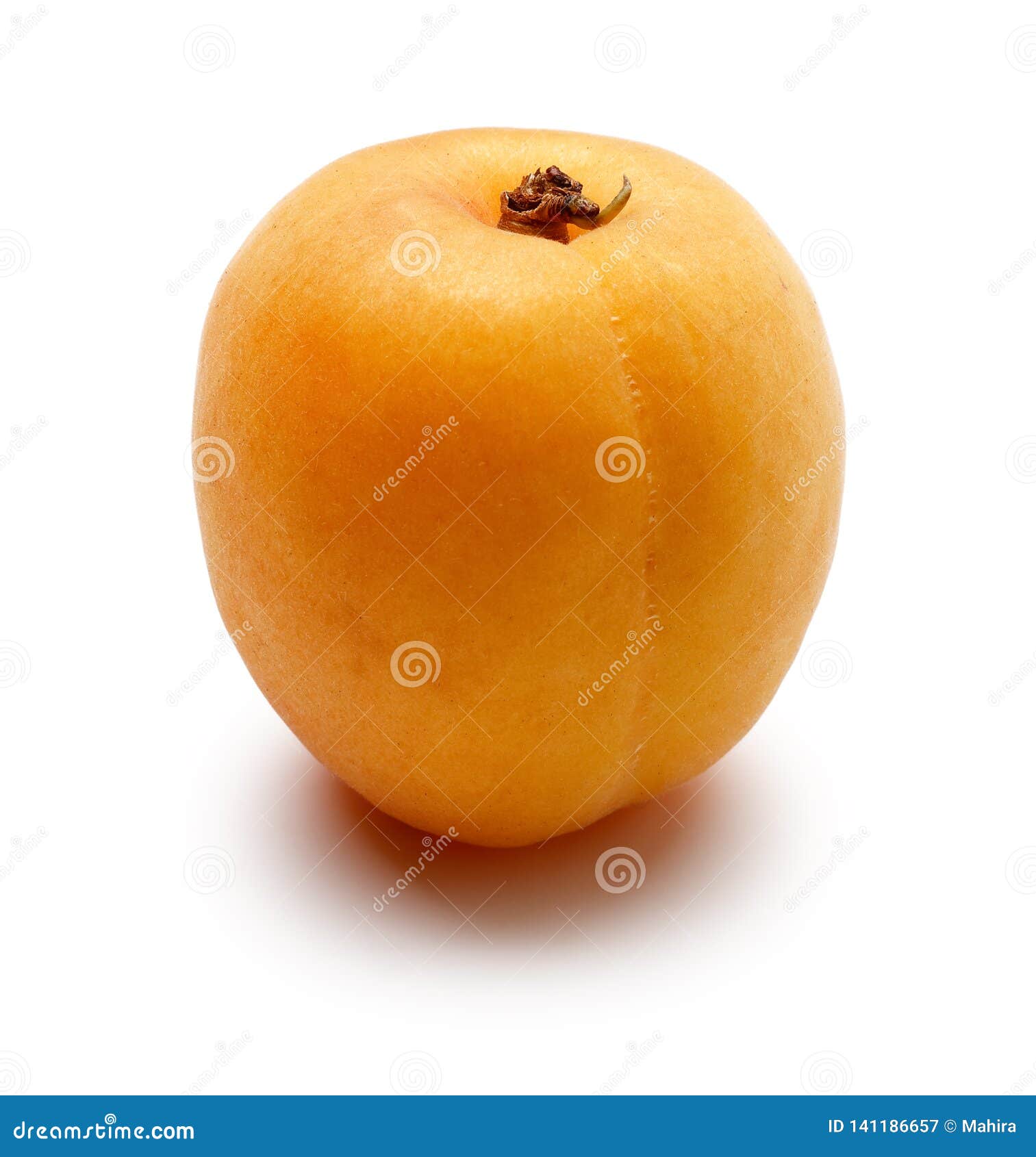 Single Fresh Apricot Isolated on White Stock Image - Image of healthy ...