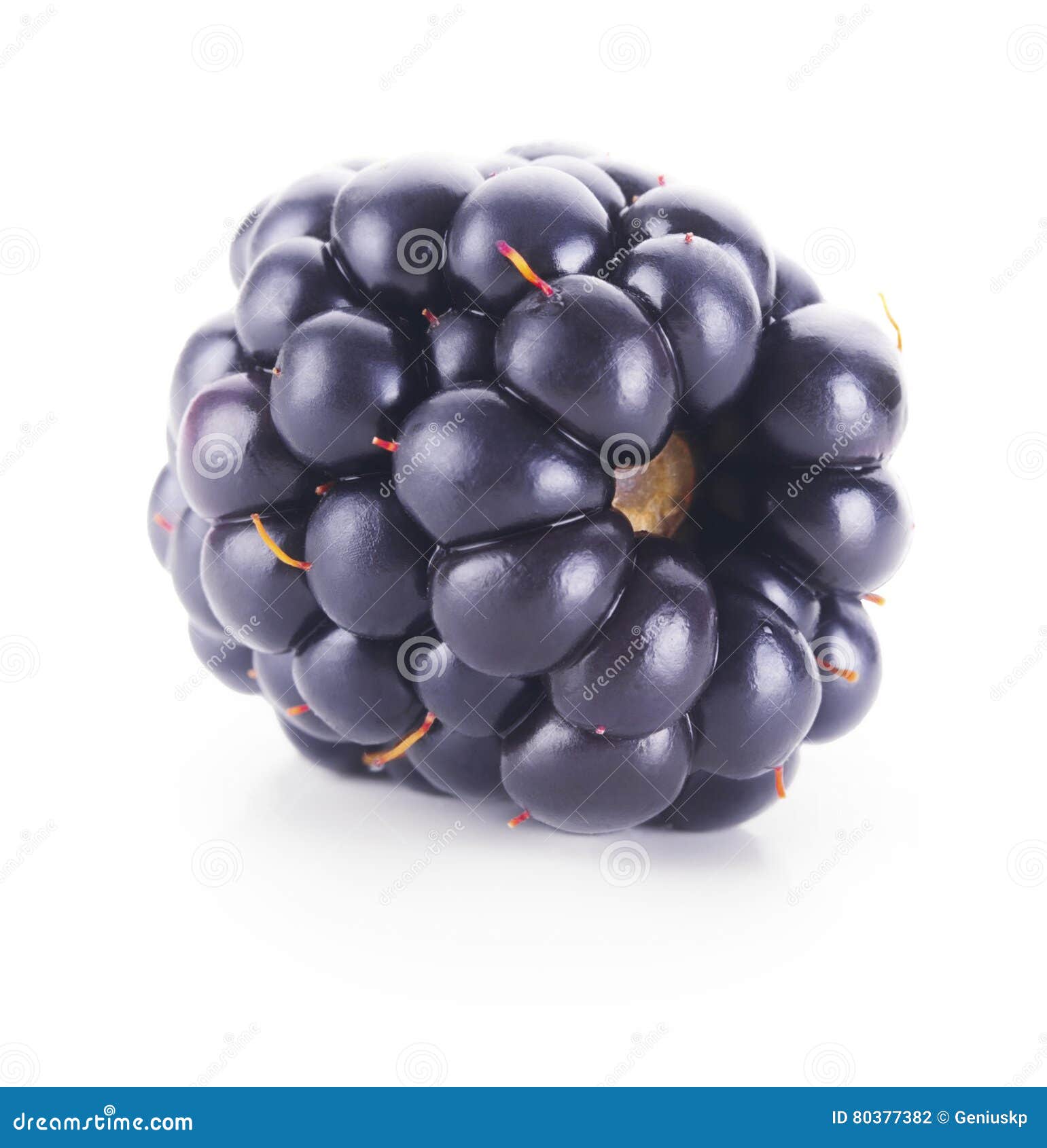 Single fresh blackberry stock photo. Image of organic - 80377382