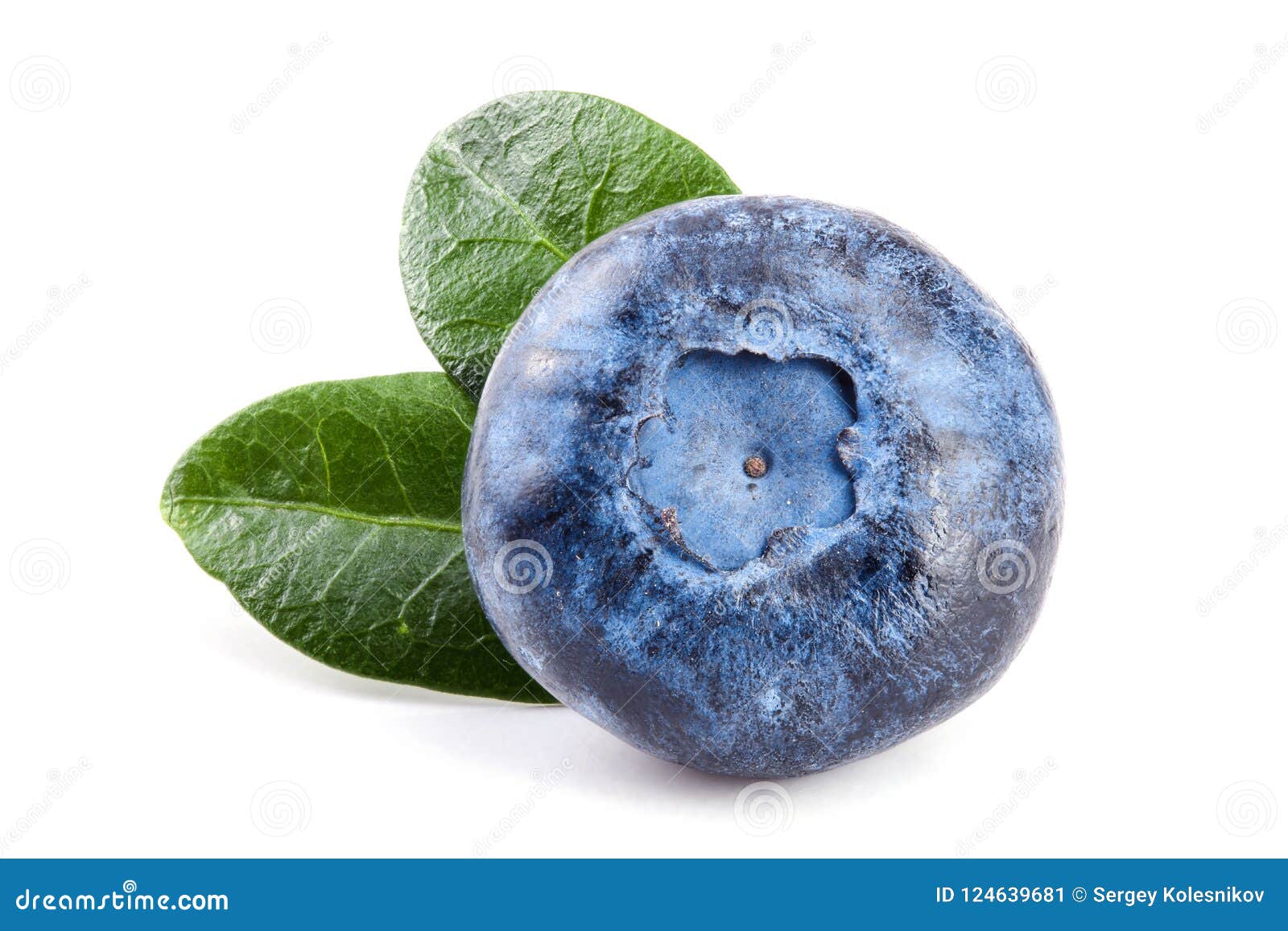 Single Fresh Blueberry with Leaf Isolated on White Background Stock ...