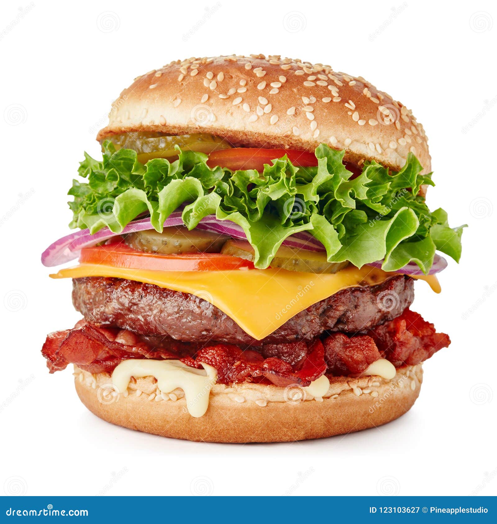 Fresh burger isolated stock image. Image of salad, snack - 123103627