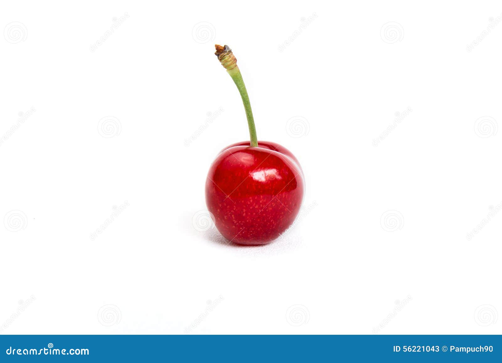 Single fresh cherry stock image. Image of fresh, nutrition - 56221043
