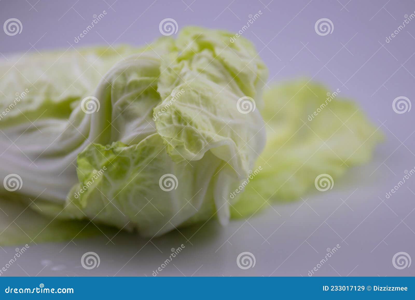 Single Fresh Chinese Cabbage Stock Image - Image of natural, vegetable ...