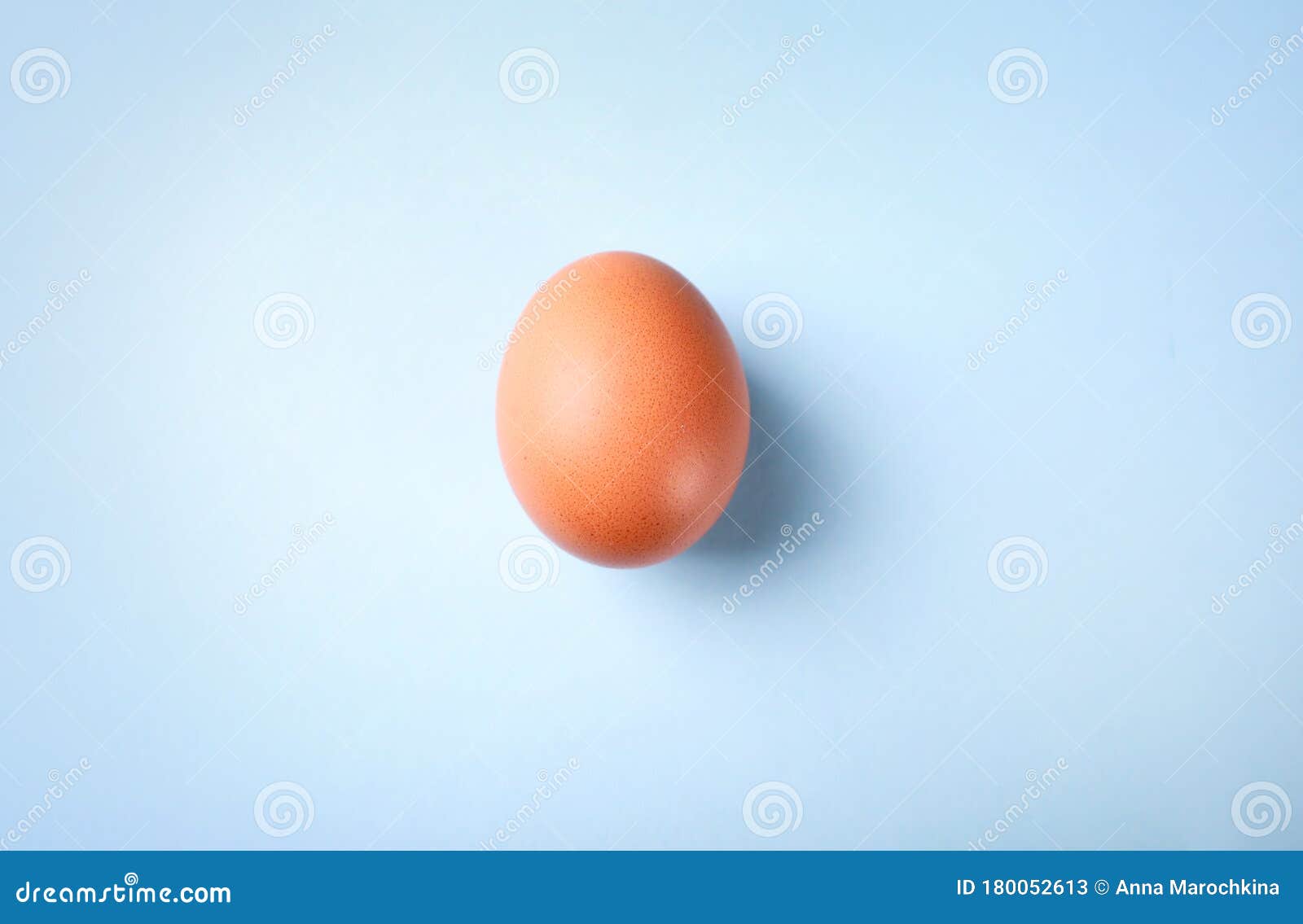 Single Fresh Raw Chicken Egg Stock Image - Image of eggshell, chicken ...